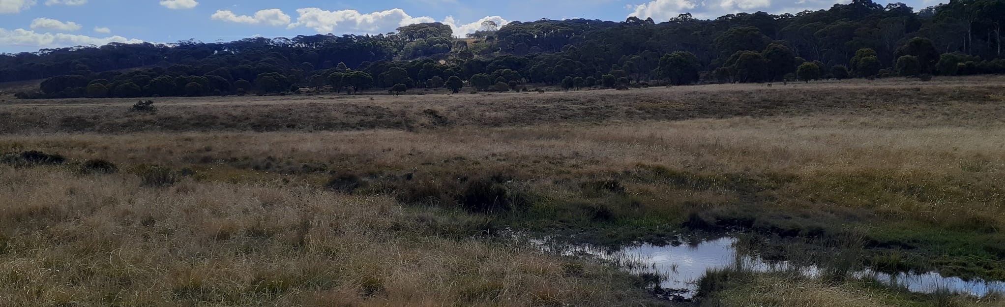 Cooinbil Hut to Old Currango Homestead via Mosquito Creek Trail, New ...