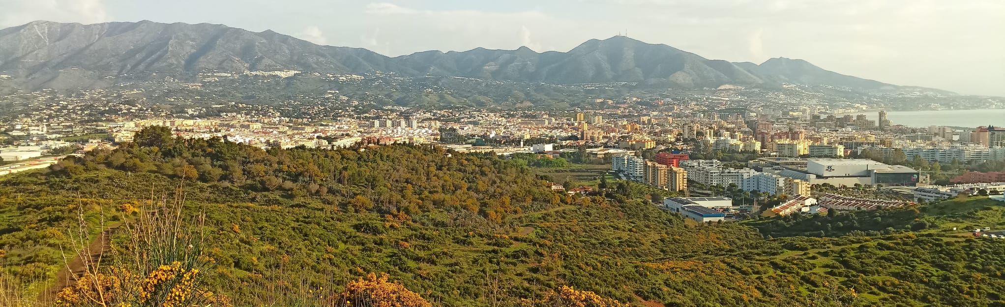 Bosque El Chaparral, Málaga, Spain - 6 Reviews, Map | AllTrails
