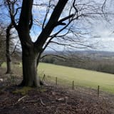 Gomshall Mill and Netley Park Circular, Surrey, England - 219 Reviews ...