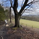 Gomshall Mill and Netley Park Circular, Surrey, England - 219 Reviews ...