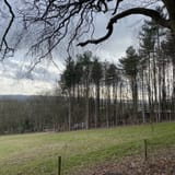 Gomshall Mill and Netley Park Circular, Surrey, England - 219 Reviews ...