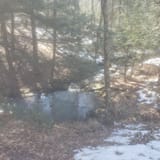 Quabbin Reservoir Gates 11-12 Loop Trail, Massachusetts - 193 Reviews ...