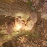 Quabbin Reservoir Gates 11-12 Loop Trail, Massachusetts - 193 Reviews ...