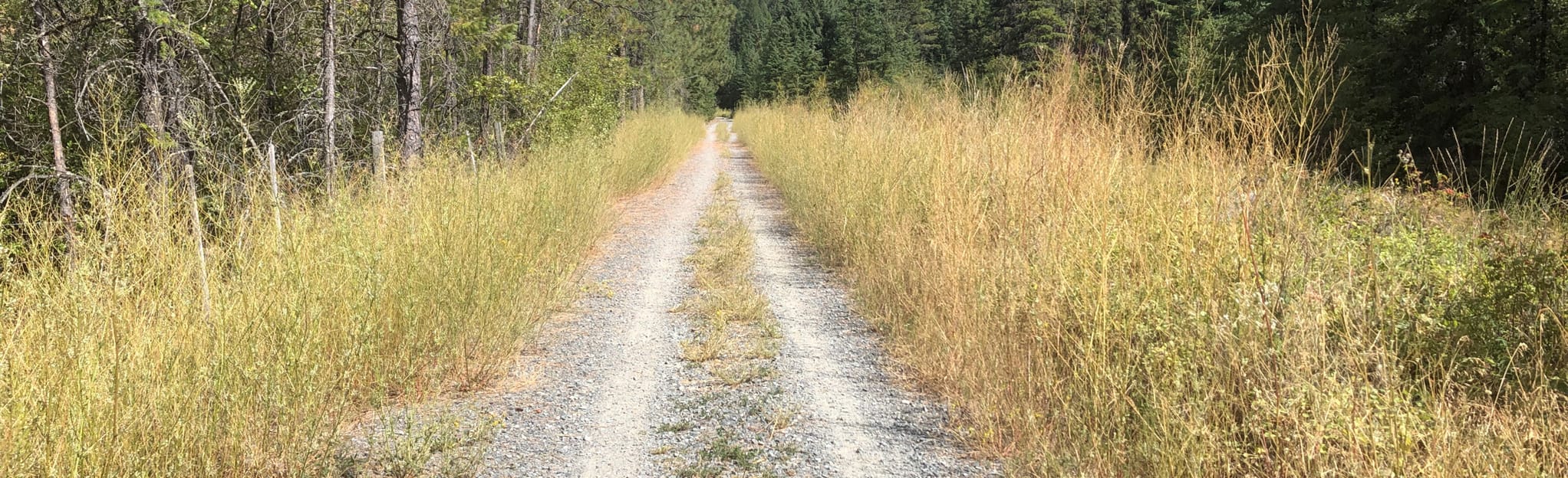 Chief Isadore Trail to Rampart Loop: 32 Reviews, Map - British Columbia ...
