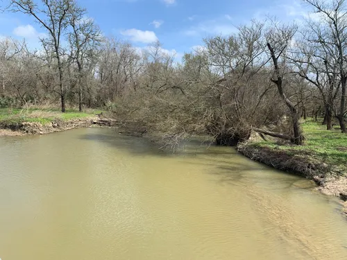 Best Hikes and Trails in George Bush Park | AllTrails