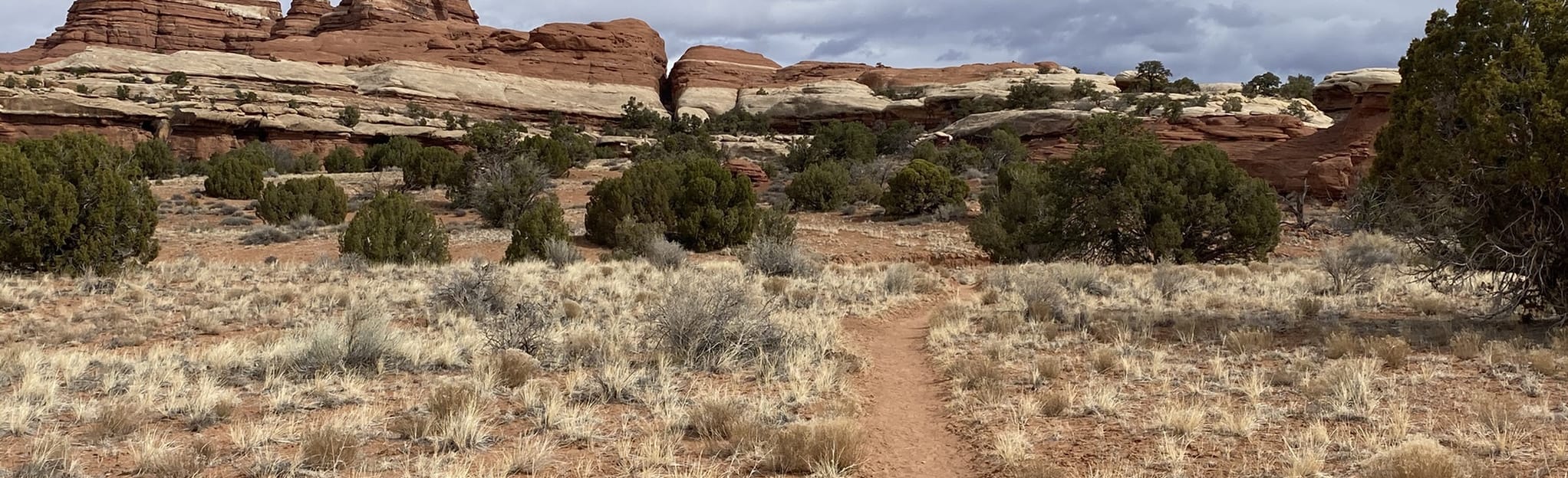 AllTrails | Salt Flat, Big Spring, Druid Loop: 81 Reviews, Map - Utah