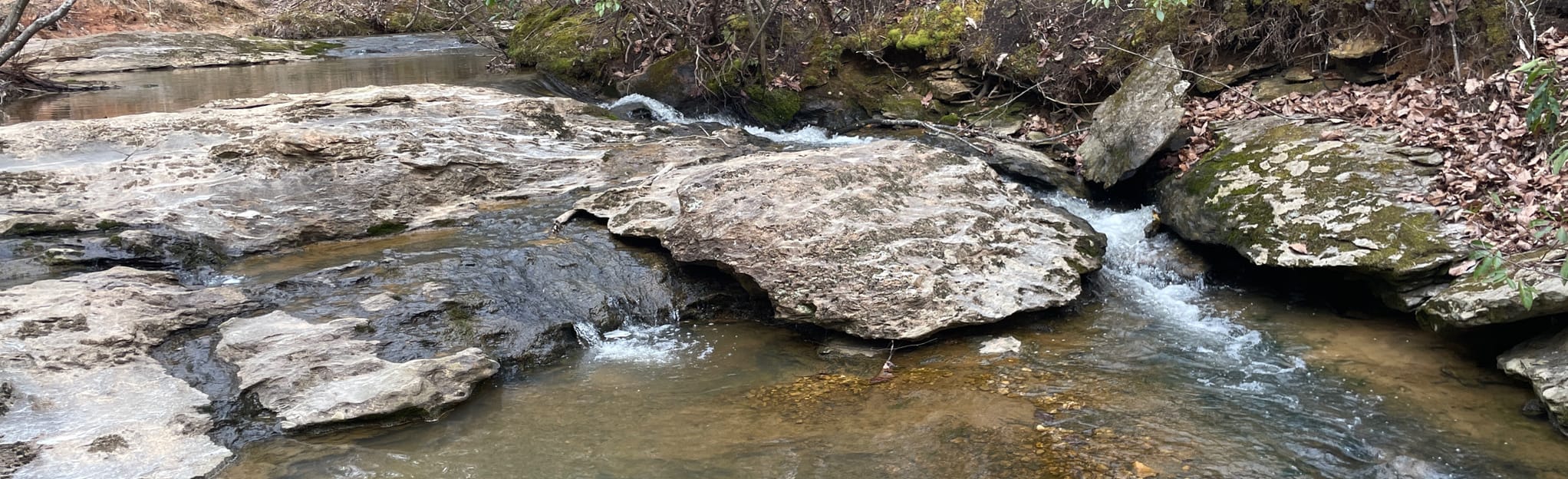 Sauratown Trail Section 11, North Carolina - 23 Reviews, Map | AllTrails