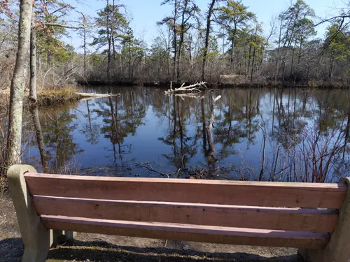 Best Hikes and Trails in Birch Grove Park | AllTrails