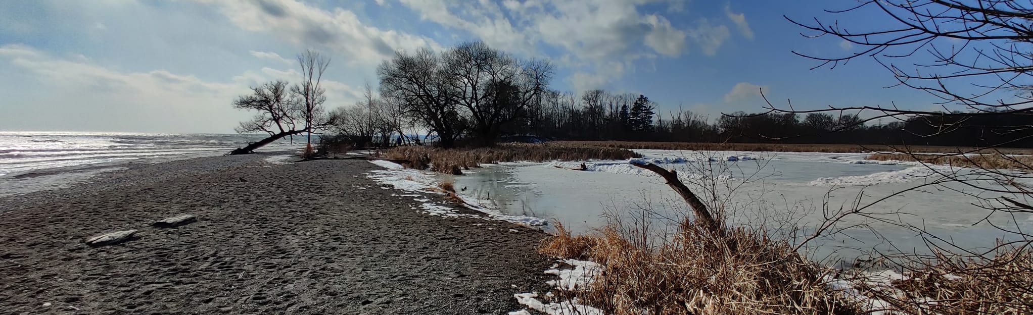 Samuel Wilmot Nature Area Trail: 46 Reviews, Map - Ontario, Canada ...
