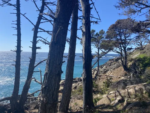 10 Best Hikes and Trails in Salt Point State Park | AllTrails