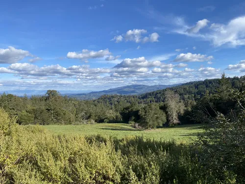 10 Best Hikes and Trails in Wunderlich County Park | AllTrails