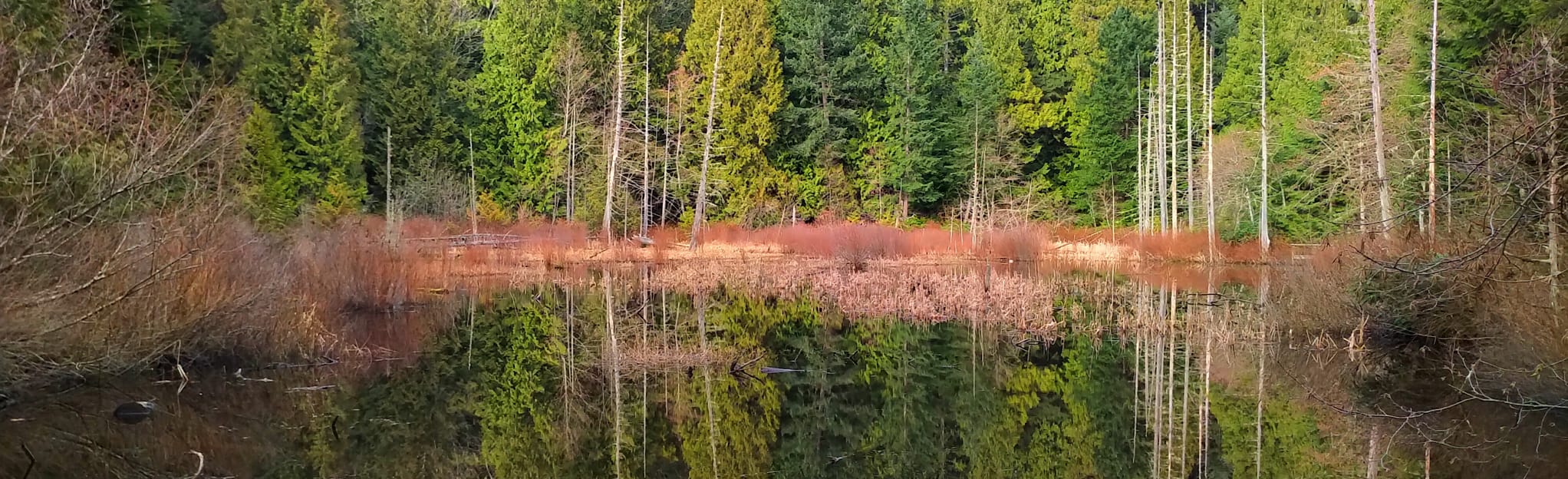 Rocky Knoll, Beaver Pond, Morrell Lake, and Alder Trail Loop | Map ...
