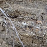 Fieldale Trail , Virginia - 77 Reviews, Map | AllTrails