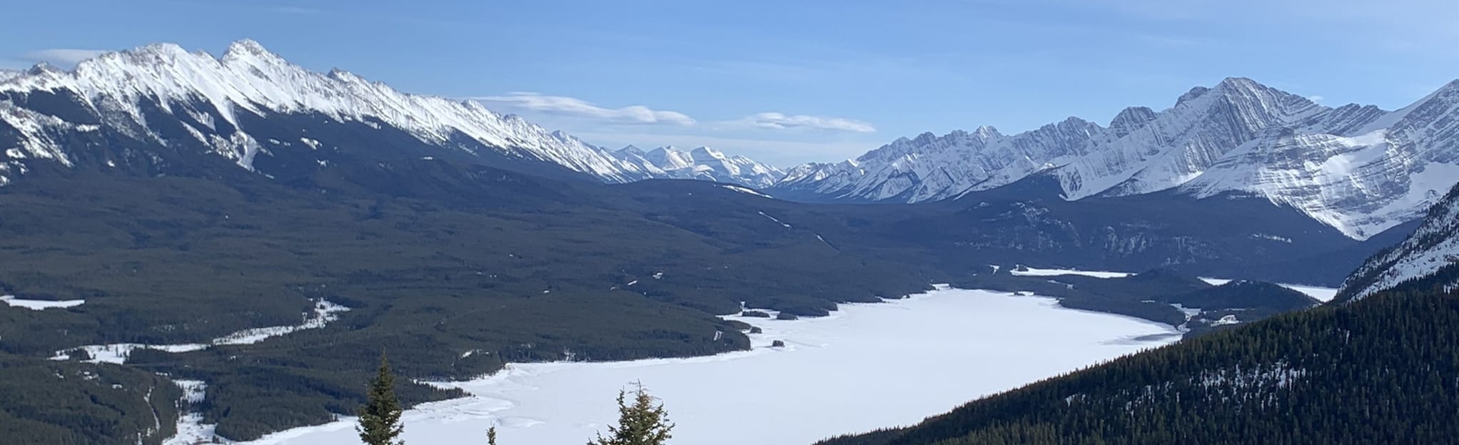 Gypsum Ridge, Alberta, Canada - 584 Reviews, Map | AllTrails