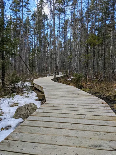 Best Bird Watching Trails in Nine Mile River | AllTrails