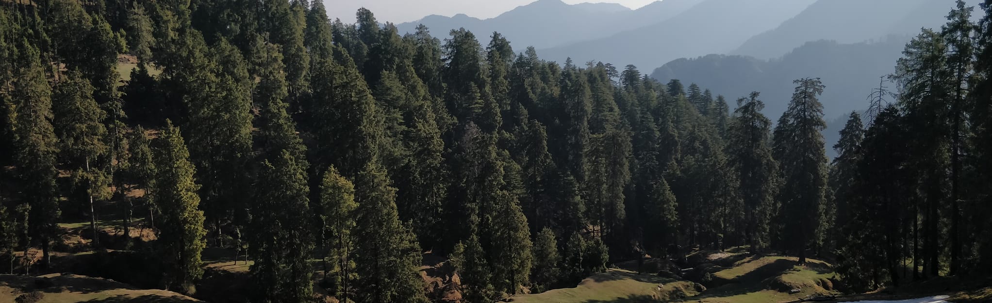 Deoban Trek (Vyas Point), Uttarakhand, India - 2 Reviews, Map | AllTrails