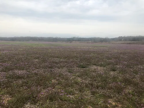 Best Hikes and Trails in Key Cave National Wildlife Refuge | AllTrails