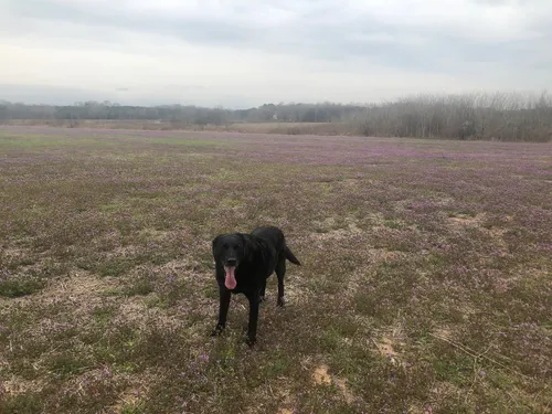 Best Hikes and Trails in Key Cave National Wildlife Refuge | AllTrails