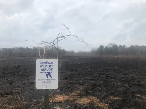 Best Hikes and Trails in Key Cave National Wildlife Refuge | AllTrails