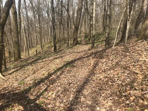 Best Historic Site Trails in Cherokee | AllTrails