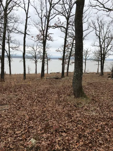 Best Hikes and Trails in Lake Wister State Park | AllTrails