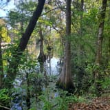 Temple Terrace Riverfront Park Trail, Florida - 35 Reviews, Map | AllTrails