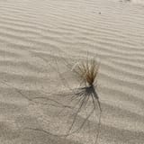 Echo Basin Loop, Washington - 77 Reviews, Map | AllTrails