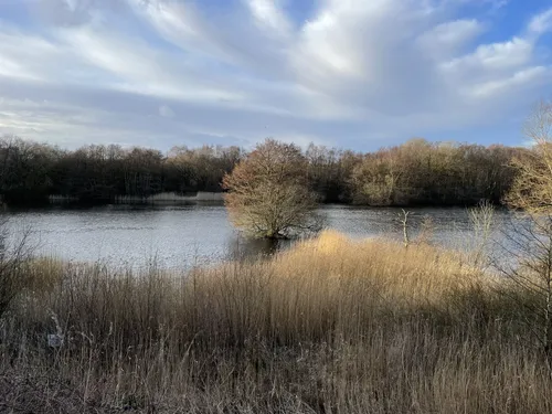 Moore Nature Reserve: de beste routes om te wandelen | AllTrails