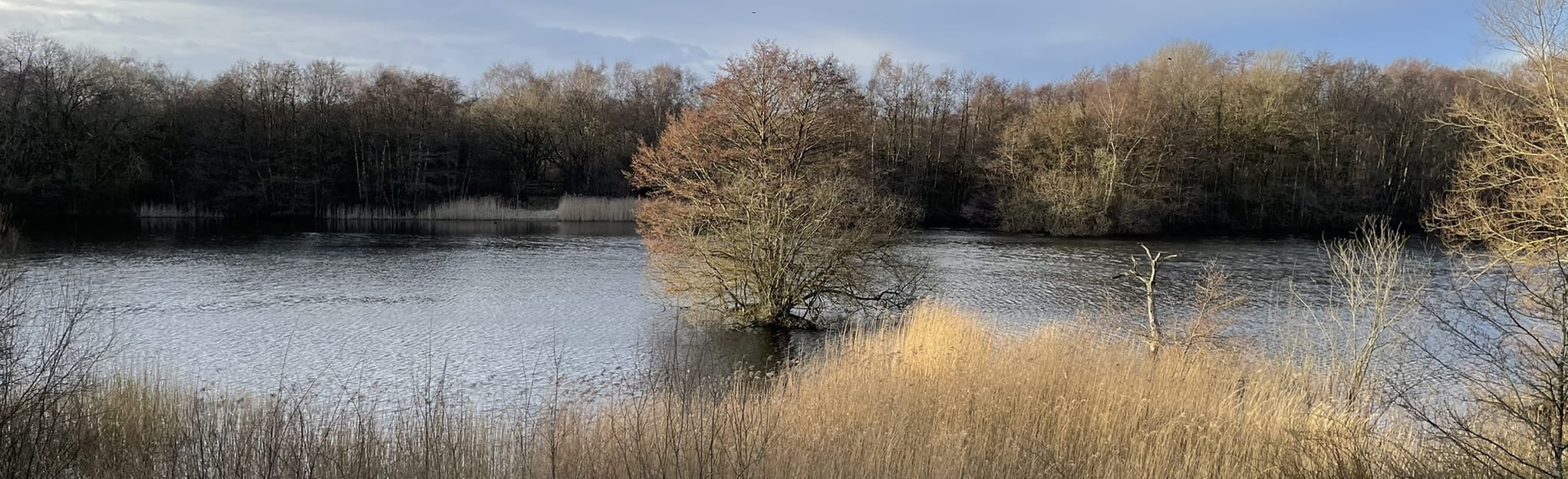 Lapwing Lake Circular, Cheshire, England - 30 Reviews, Map | AllTrails