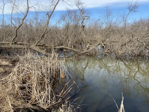 Best River Trails in Point Pelee National Park | AllTrails