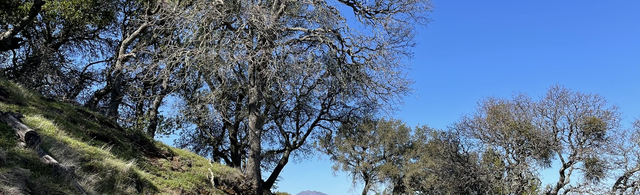 Highland Ridge, Eagle, Volvon and Stone Corral Loop, California - 28 ...