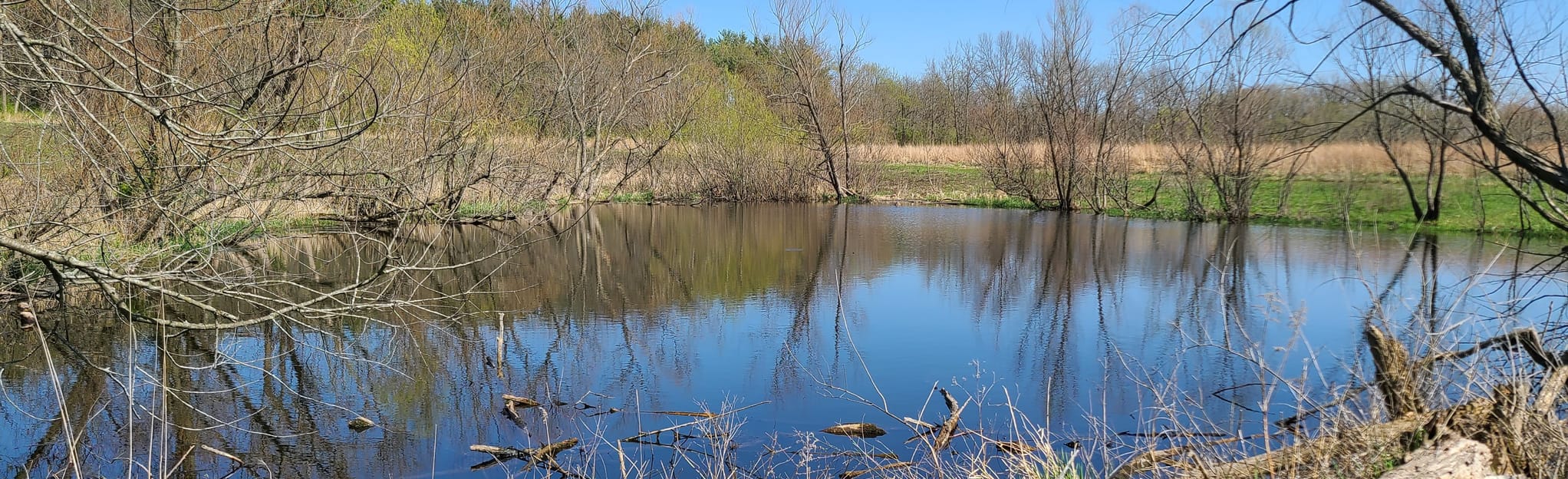 Sangamon River Trail, Illinois - 285 Reviews, Map | AllTrails