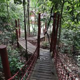 Bukit Nanas Forest Reserve Trail, Kuala Lumpur, Malaysia - 32 Reviews ...