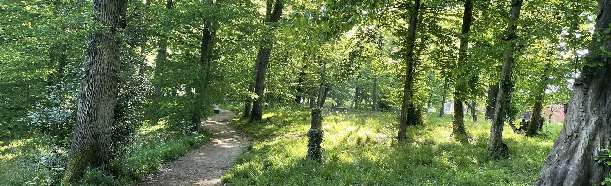 Balade à roulettes : Le Parc Palmer: 16 Reviews, Map - Gironde, France ...