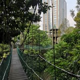 Bukit Nanas Forest Reserve Trail, Kuala Lumpur, Malaysia - 32 Reviews ...