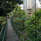 Bukit Nanas Forest Reserve Trail, Kuala Lumpur, Malaysia - 32 Reviews ...