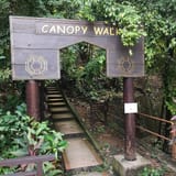 Bukit Nanas Forest Reserve Trail, Kuala Lumpur, Malaysia - 32 Reviews ...