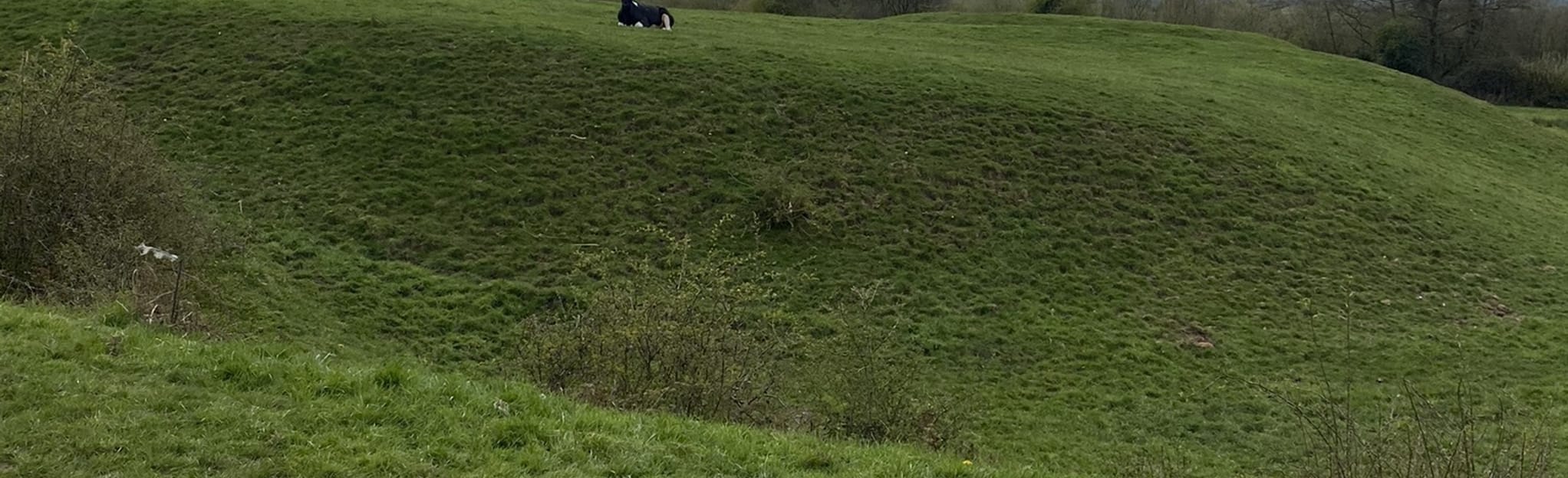 Saughall and Shotwick Castle, Cheshire, England - 53 Reviews, Map ...