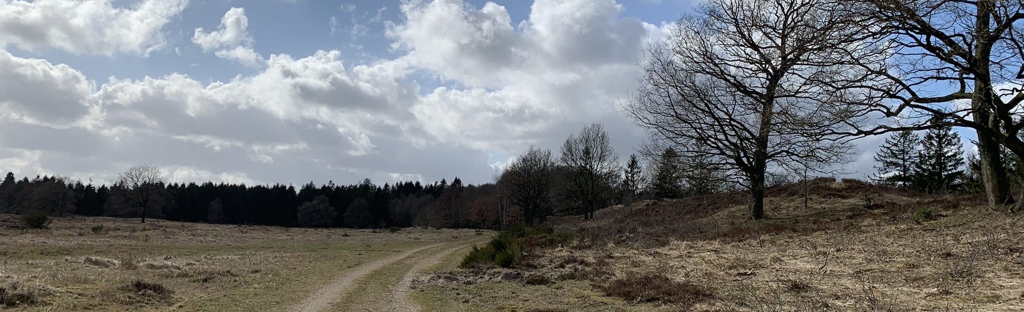 Frøslev Plantage Rundt - Region of Southern Denmark, Denmark | AllTrails