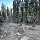 Mora Flats, New Mexico - 52 Reviews, Map | AllTrails