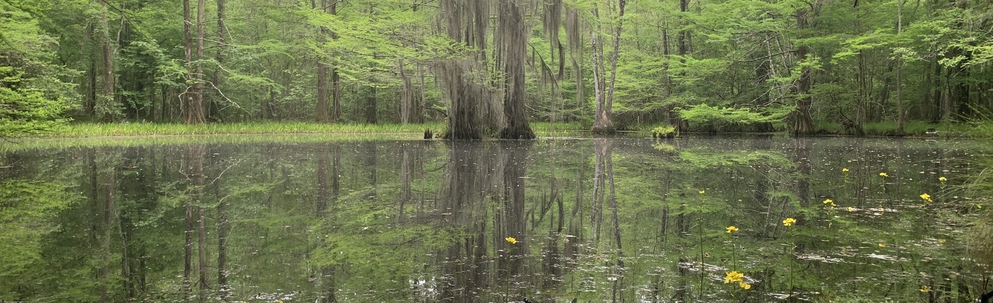 Beaver Slide Trail - Texas | AllTrails