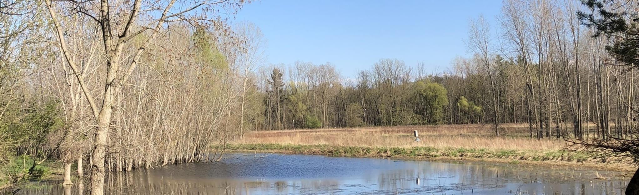 Capital City Bird Sanctuary Loop: 83 foto's - Michigan | AllTrails