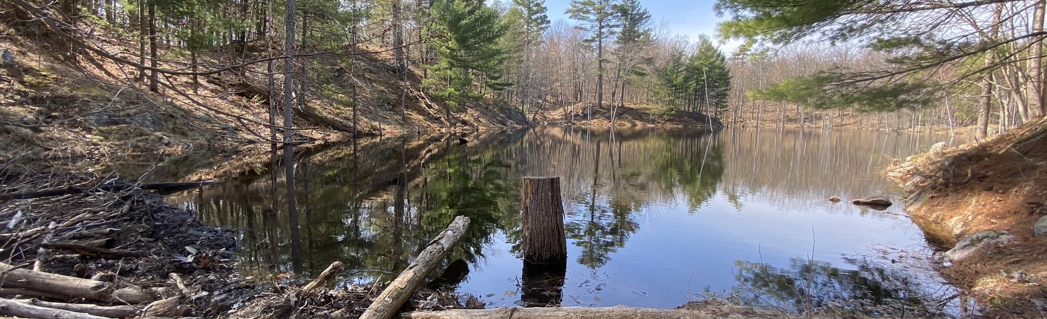 Depot Lakes: Blue - Yellow Loop | Map, Guide - Ontario, Canada | AllTrails