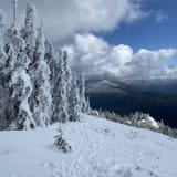 Mount Muller Trail, Washington - 150 Reviews, Map | AllTrails