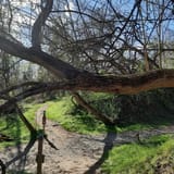 Arc Corner Monument Loop, Delaware - 189 Reviews, Map | AllTrails