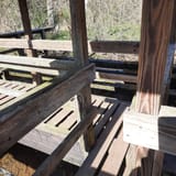 Arc Corner Monument Loop, Delaware - 189 Reviews, Map | AllTrails