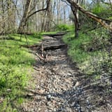 Arc Corner Monument Loop, Delaware - 189 Reviews, Map | AllTrails