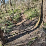 Arc Corner Monument Loop, Delaware - 189 Reviews, Map | AllTrails