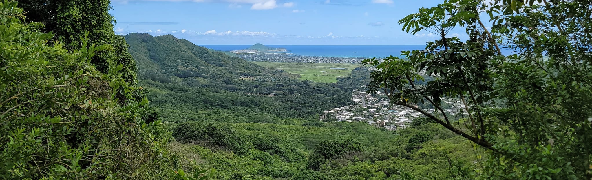 Piliwale Ridge, Oahu, Hawaii - 107 Reviews, Map | AllTrails
