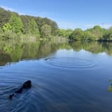 Lake Herrick and Herrick Creek Loop, Georgia - 382 Reviews, Map | AllTrails